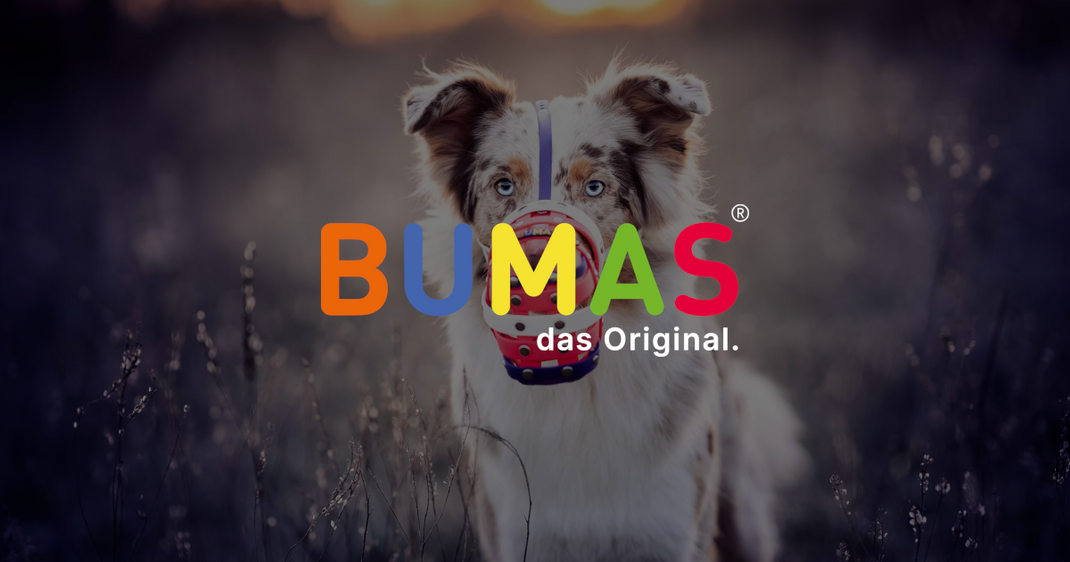 Leinen und Halsbänder von BUMAS online bestellen – Rosie's Dogstuff